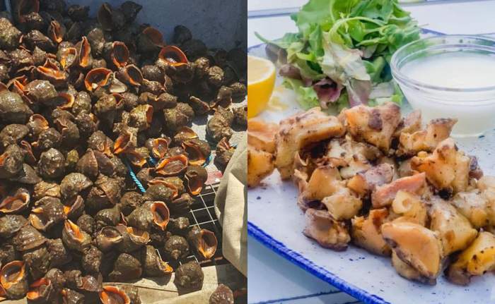 Misiunea Verde, cu Mona Nicolici: Cum ajută consumul de rapane la ...