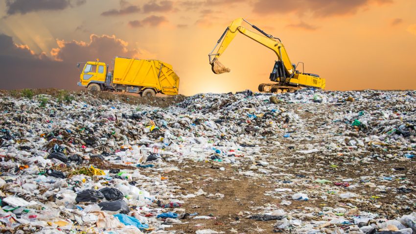 Levigatul, dușmanul sănătății noastre ascuns în gropile de gunoi ale ...