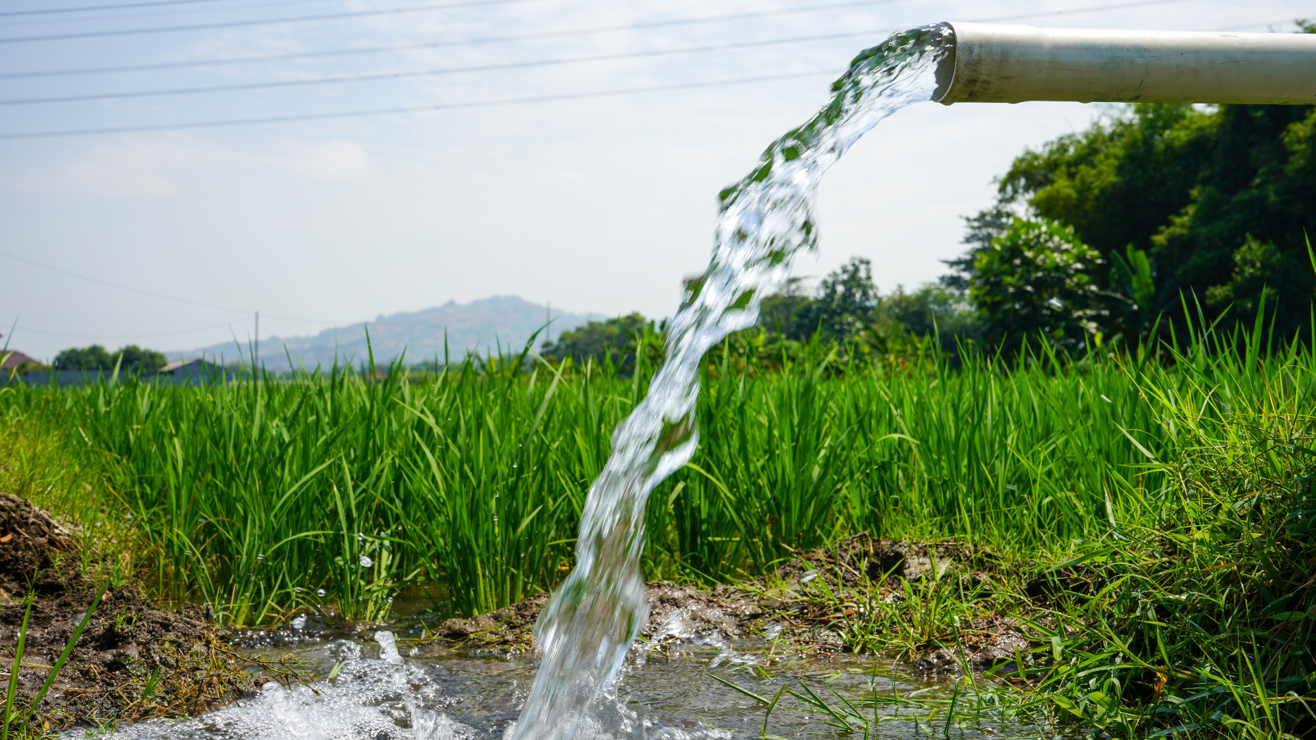 Președintele Asociației Hidrogeologilor din România, despre rezervele ...