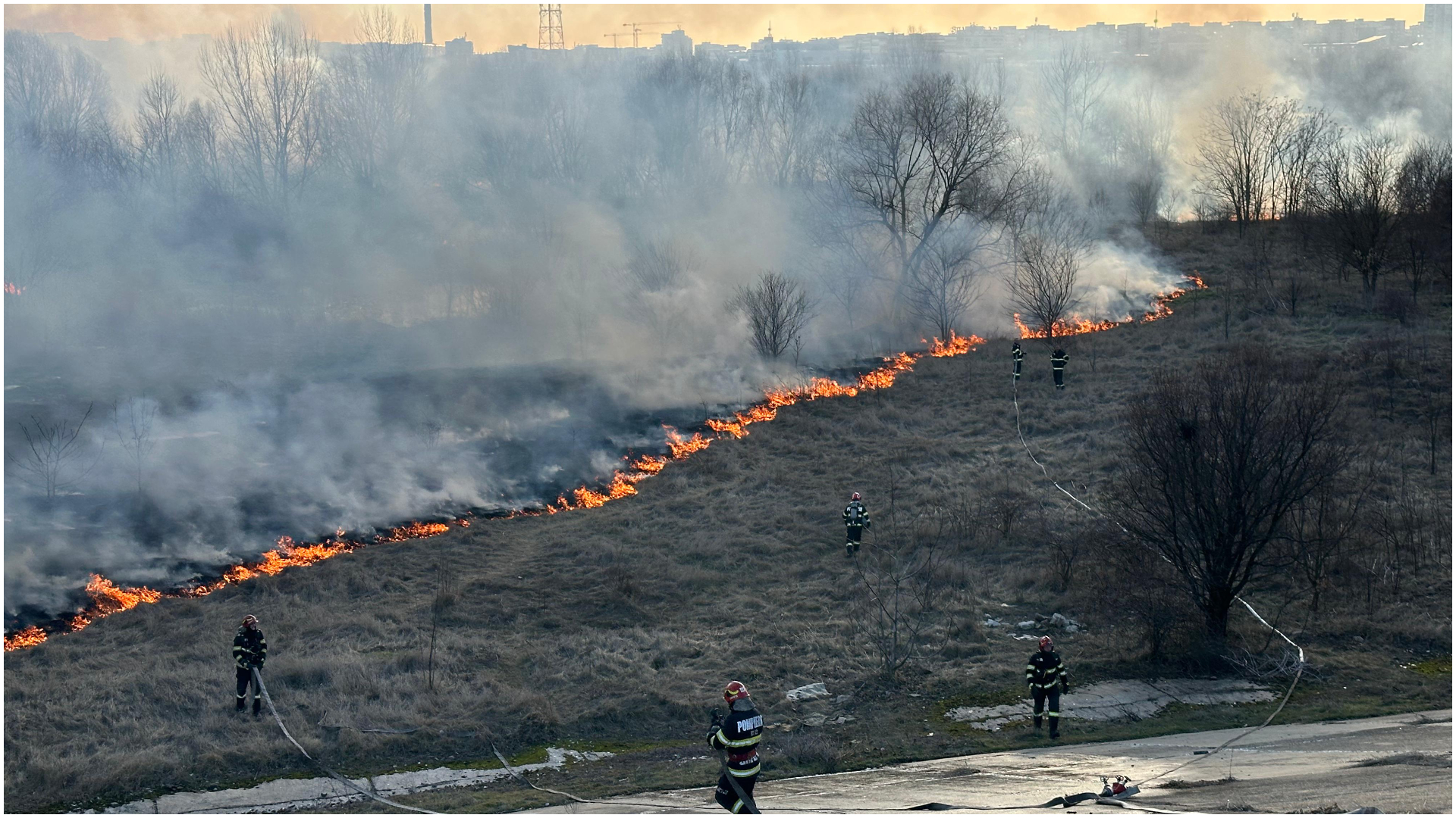 Incendiul din Delta Văcărești, stins | VIDEO : Europa FM