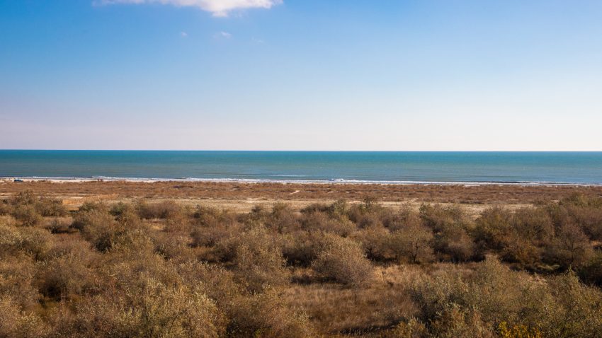 Paul Angelescu, despre construcțiile ilegale pe zona protejată a ...