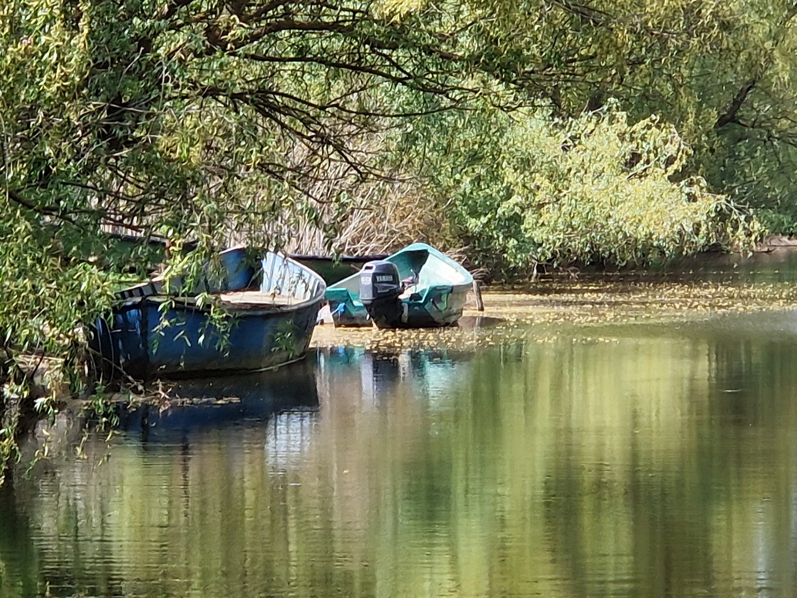 Comisariatul Rezervației Biosferei Delta Dunării se desființează ...
