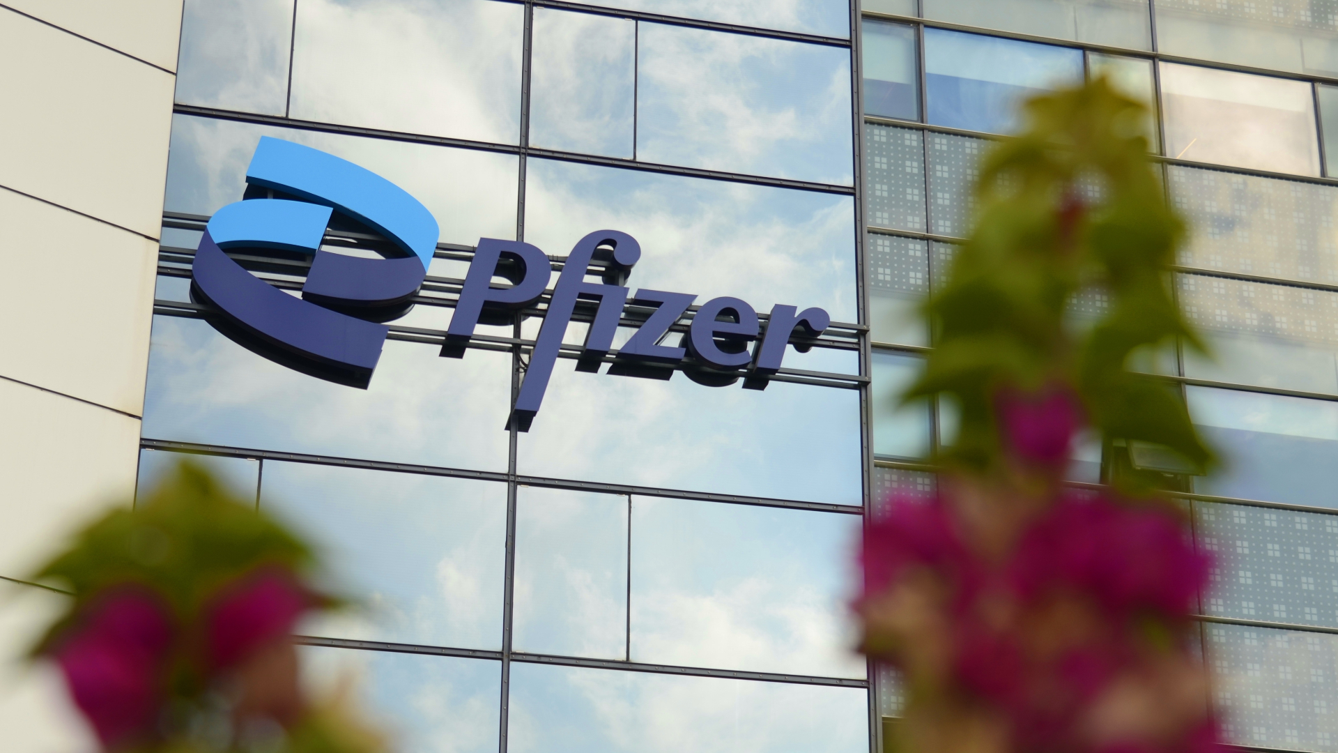 Pfizer încheie înțelegeri în peste 10.000 de procese legate de ...
