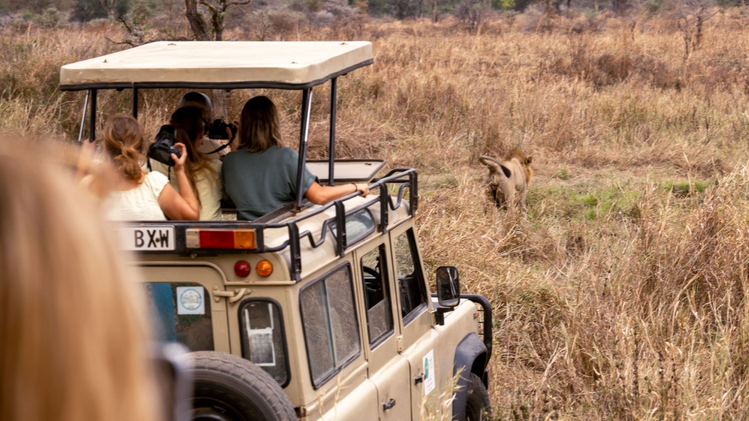 Cum să-ți planifici un safari în Zanzibar? 5 sfaturi și trucuri (P ...