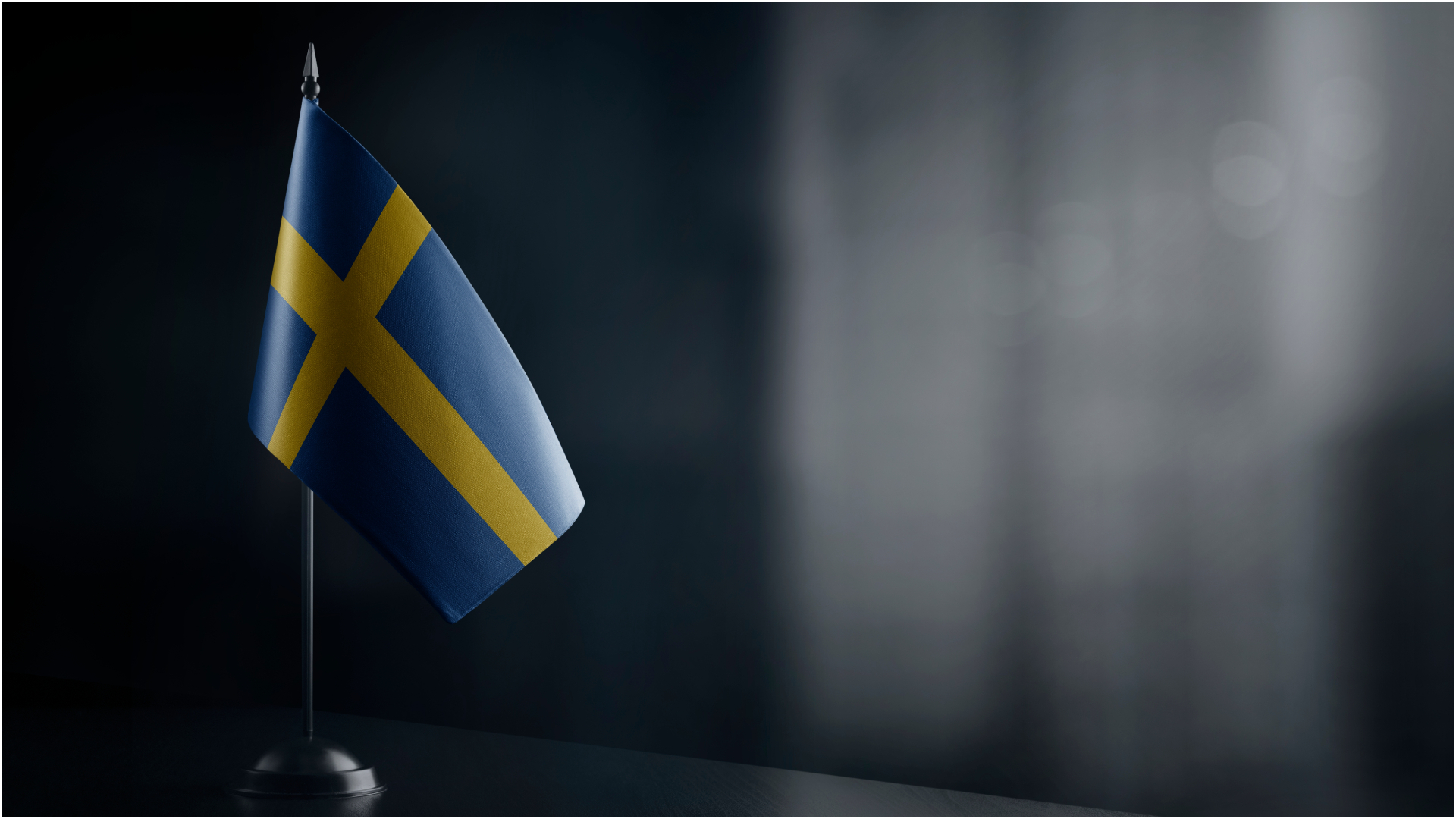 Suedia, acuzată de Comisia de Politică Externă din Senat că nu rezolvă ...