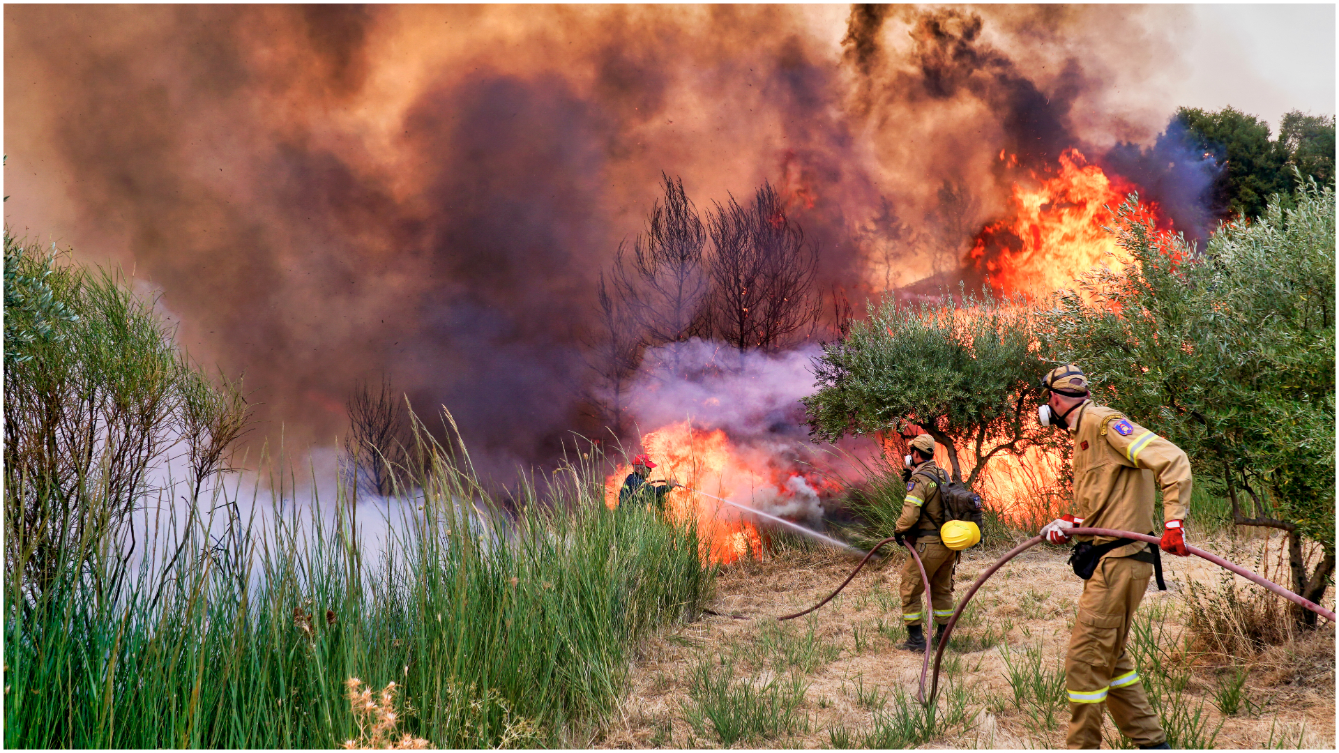 Grecia a înregistrat de peste două ori mai multe incendii în iunie 2024 ...
