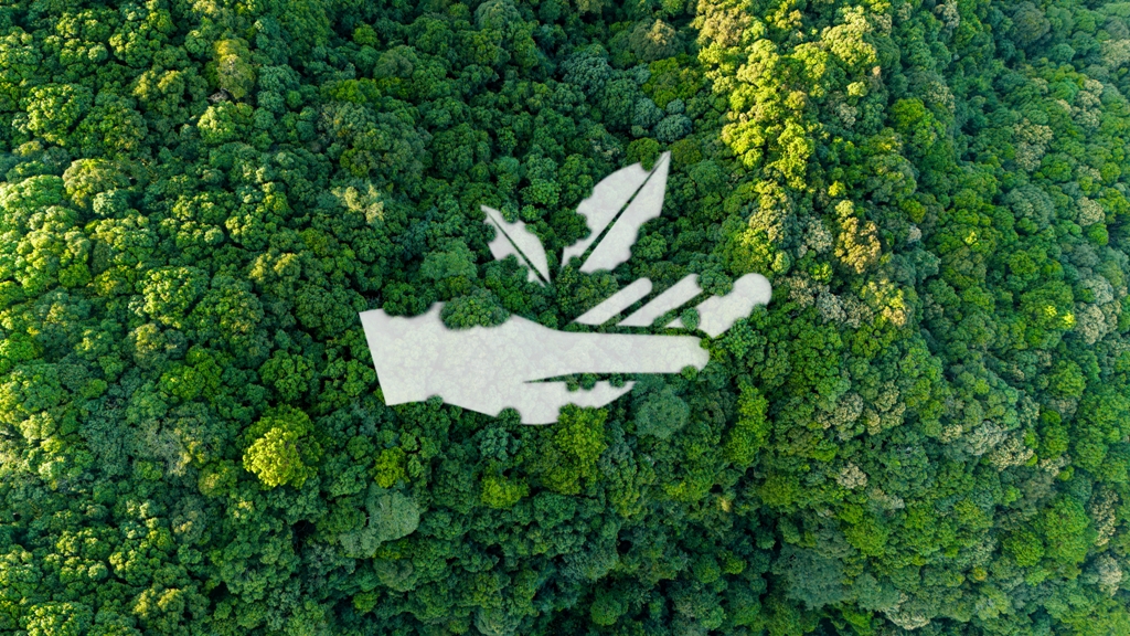 Misiunea Verde: Cum poate fi tranziția către energie verde o ...