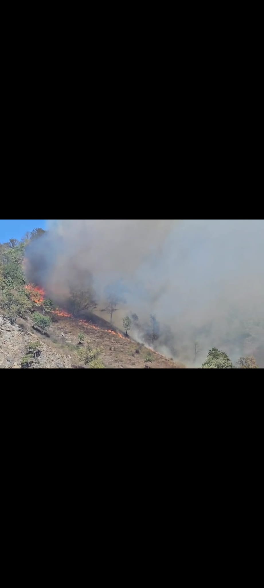 BUZĂU: Incendiu de vegetaţie uscată, într-o fostă exploatare forestieră ...