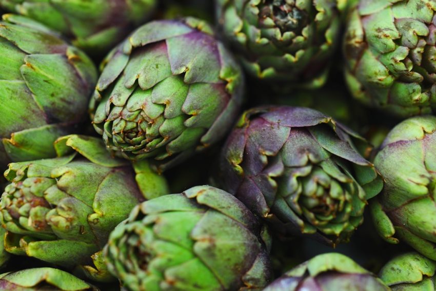 Beneficiile anghinarei, o plantă cu proprietăți remarcabile : Europa FM