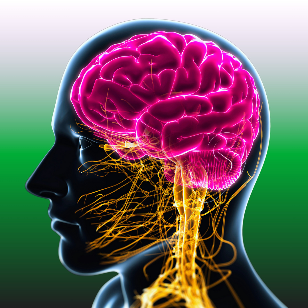 Clinica Hope: Ziua Mondială a Sănătății Mintale (P) : Europa FM