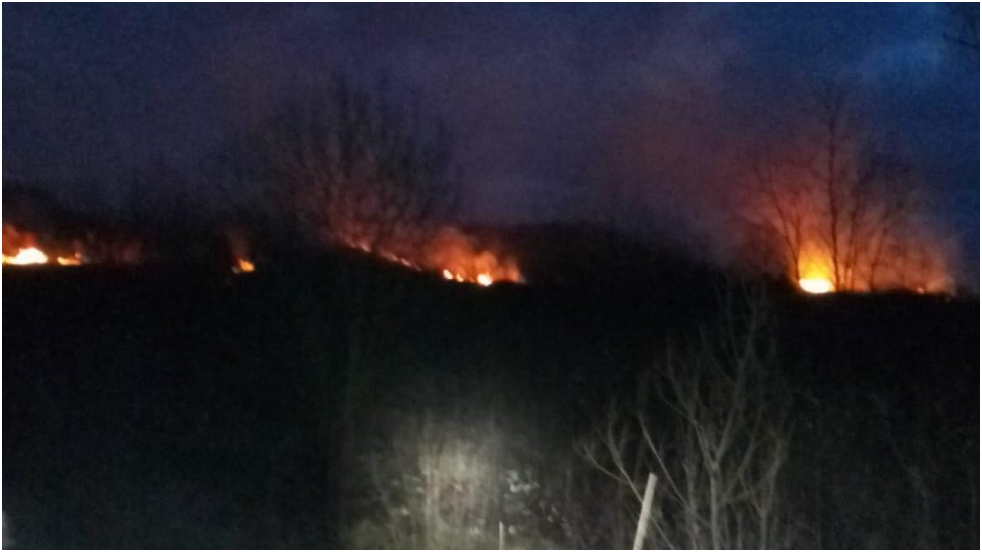 Vâlcea: Incendii de vegetație în 2 localități din județ. Pompierii ...