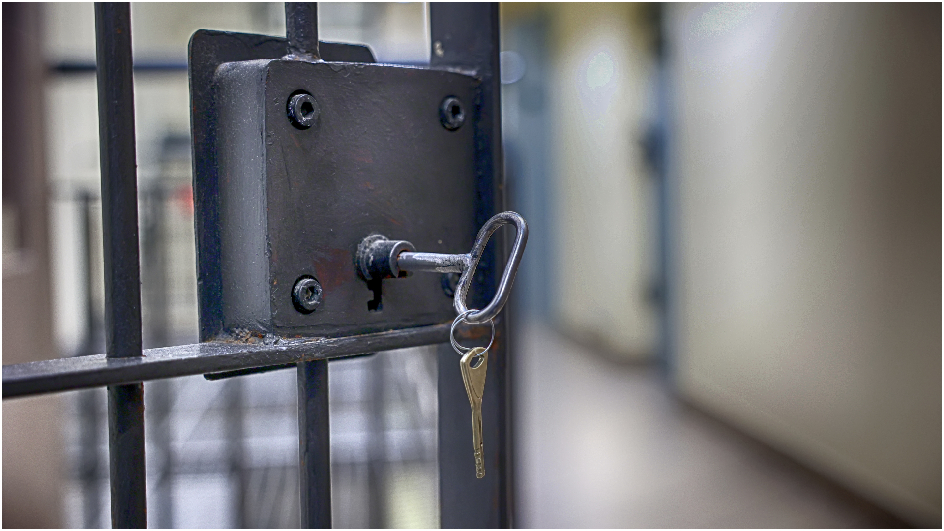 Fraudă cu fonduri europene. Un fermier și 2 medici veterinari au fost ...