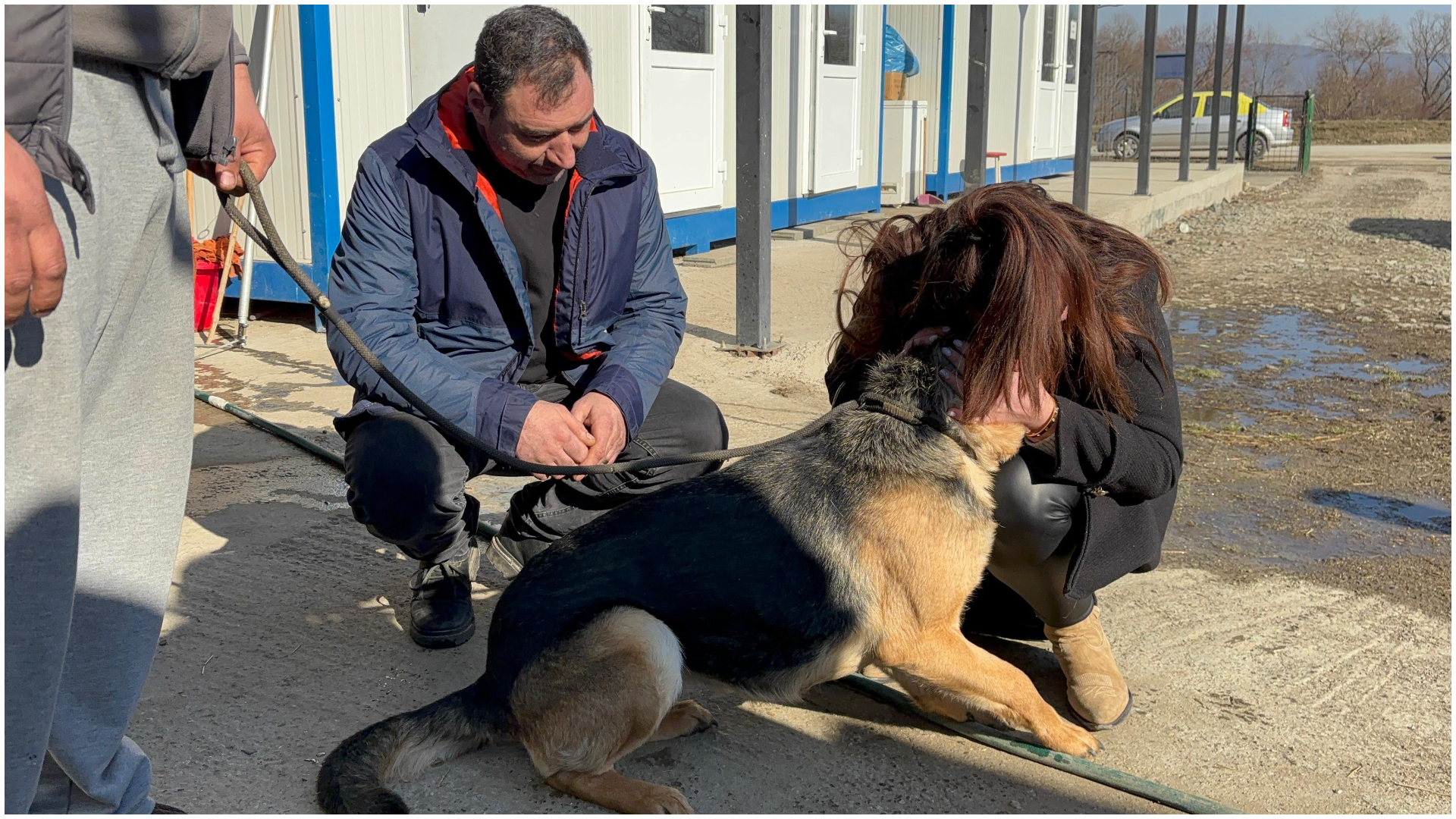 Hunedoara: O cățelușă care a plecat de acasă în Ajunul Crăciunului ...
