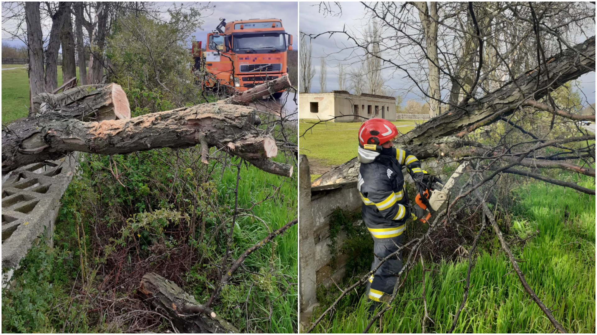 Pagube în mai multe județe din țară în urma vântului puternic. Copaci ...
