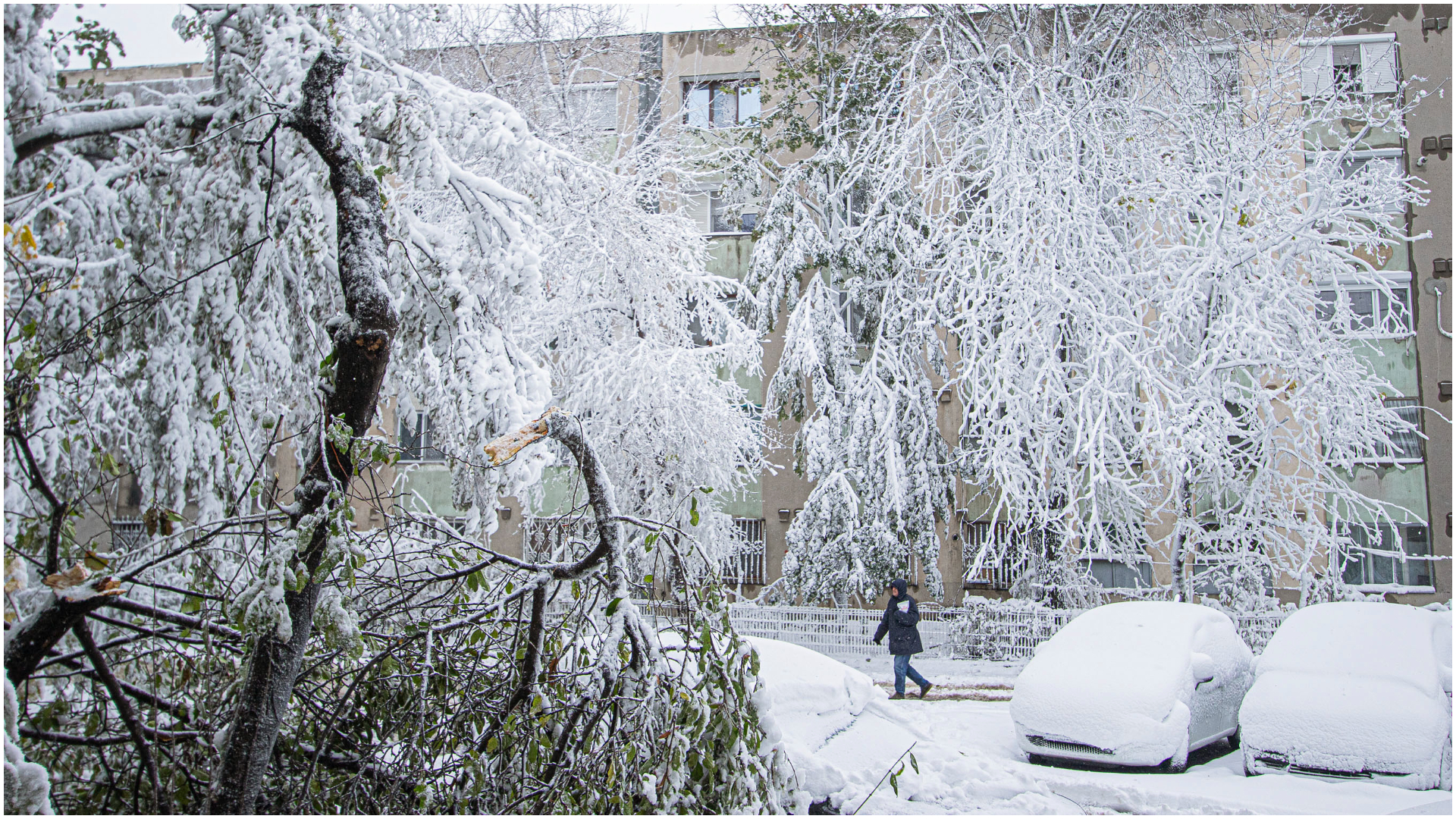 Un cod portocaliu și un cod galben de vânt puternic și ninsori viscolite intră în vigoare astăzi ...