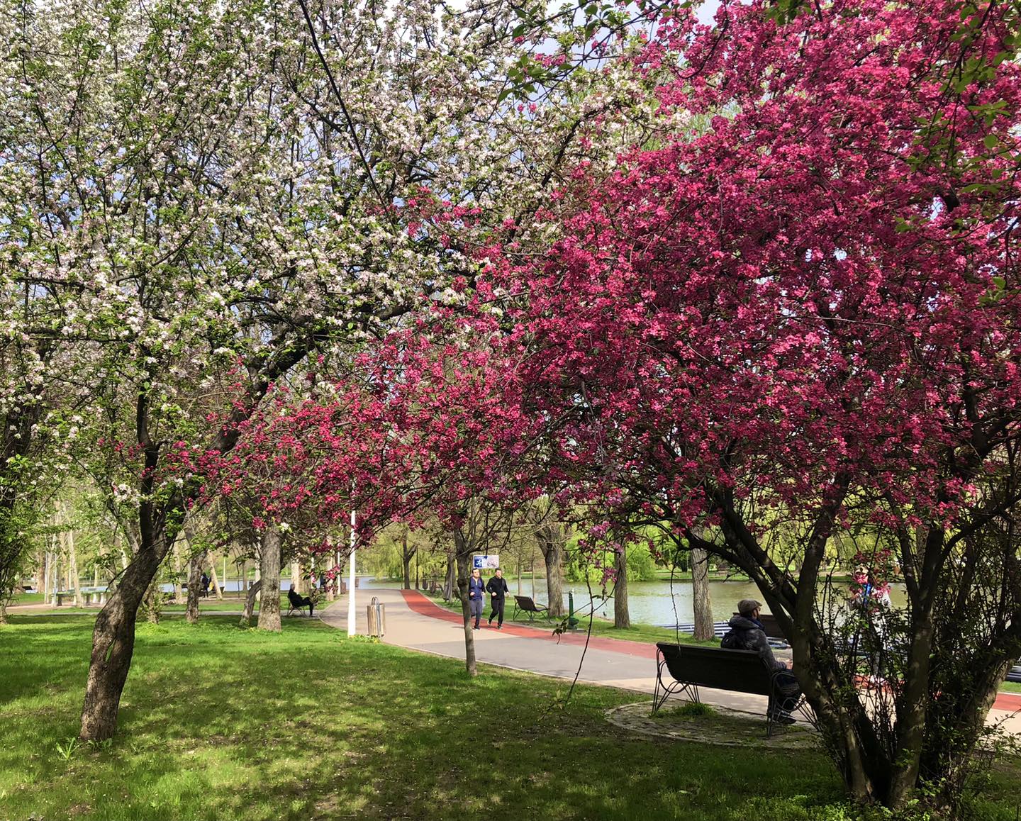Primarul Sectorului 3 vrea să modernizeze Parcul IOR. “Lăsați parcul sa ...