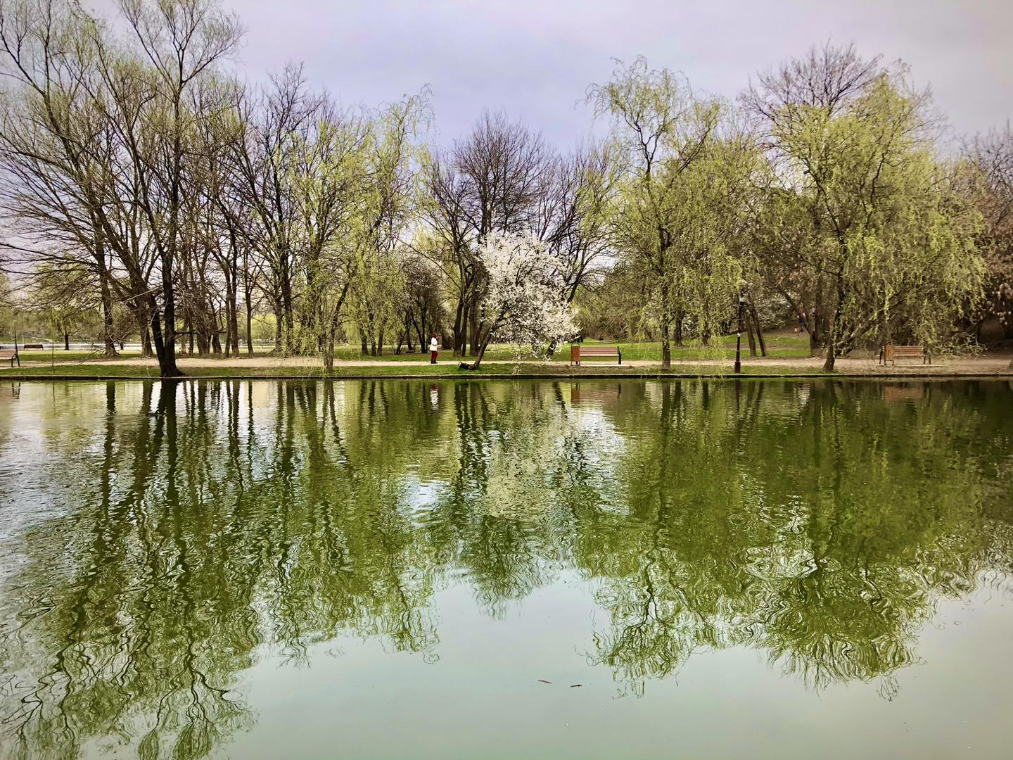 Primarul Sectorului 3 vrea să modernizeze Parcul IOR. “Lăsați parcul sa ...