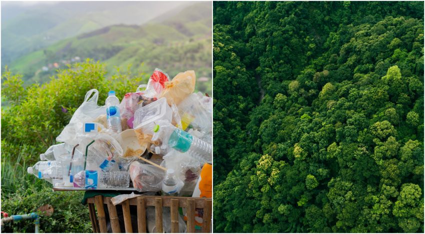 Andrei Corlan, comisar general la Garda Națională de Mediu: „Reciclarea ...