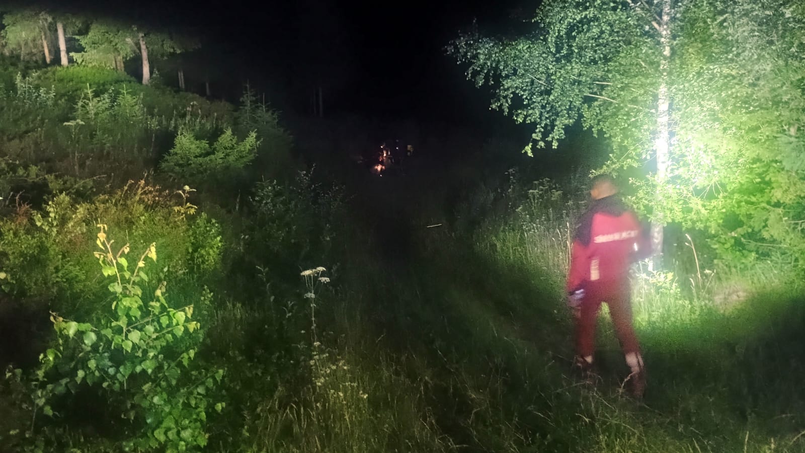 Munţii Rodnei: Tineri speriaţi de prezenţa unui urs care s-a apropiat ...