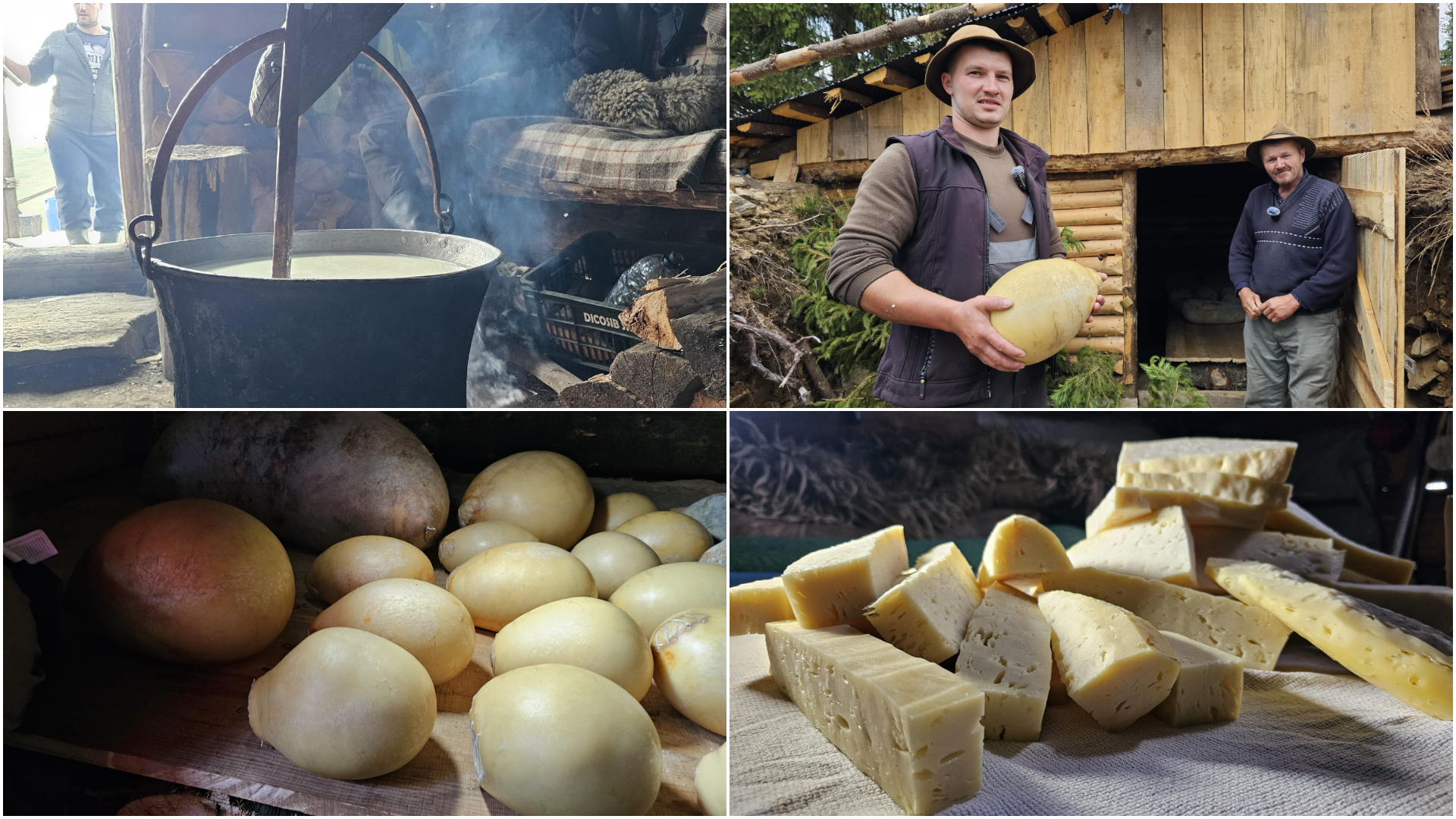 Reportaj: Cum este făcută brânza de burduf la o stână din Munții ...