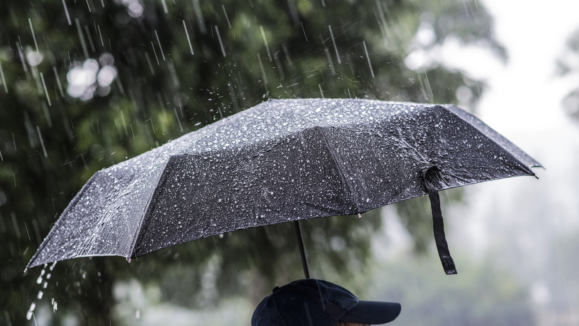 Vreme rece, cu ploi în mare parte din țară: Potrivit ANM, temperaturile ...